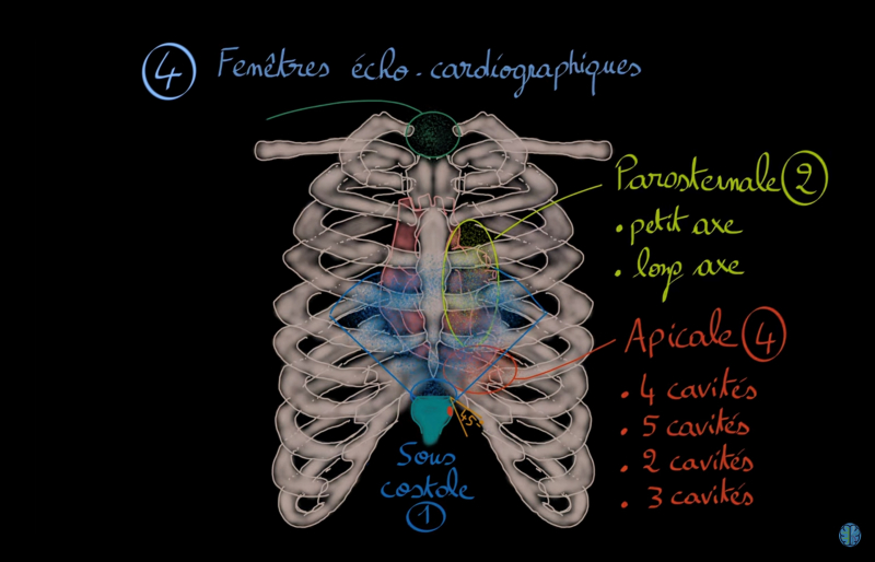 Le duo gagnant : Echographie cardiaque & ECG pour un diagnostic précis ...